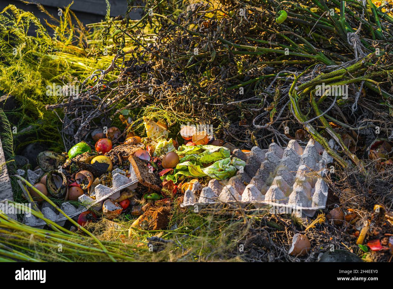 Compost pile with organic food waste close up Stock Photo - Alamy