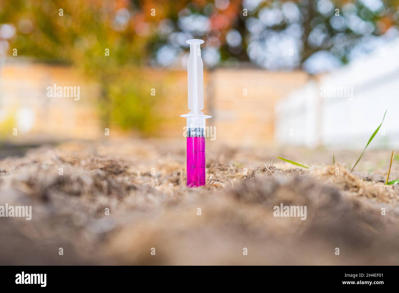 A syringe with a bright pink glowing liquid inserted into a garden bed ...