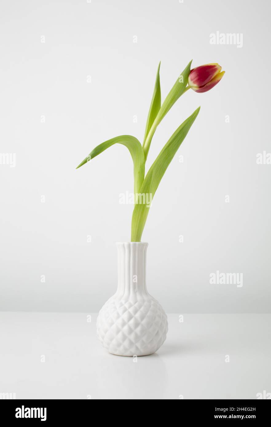 vase with tulip desk. Resolution and high quality beautiful photo Stock ...