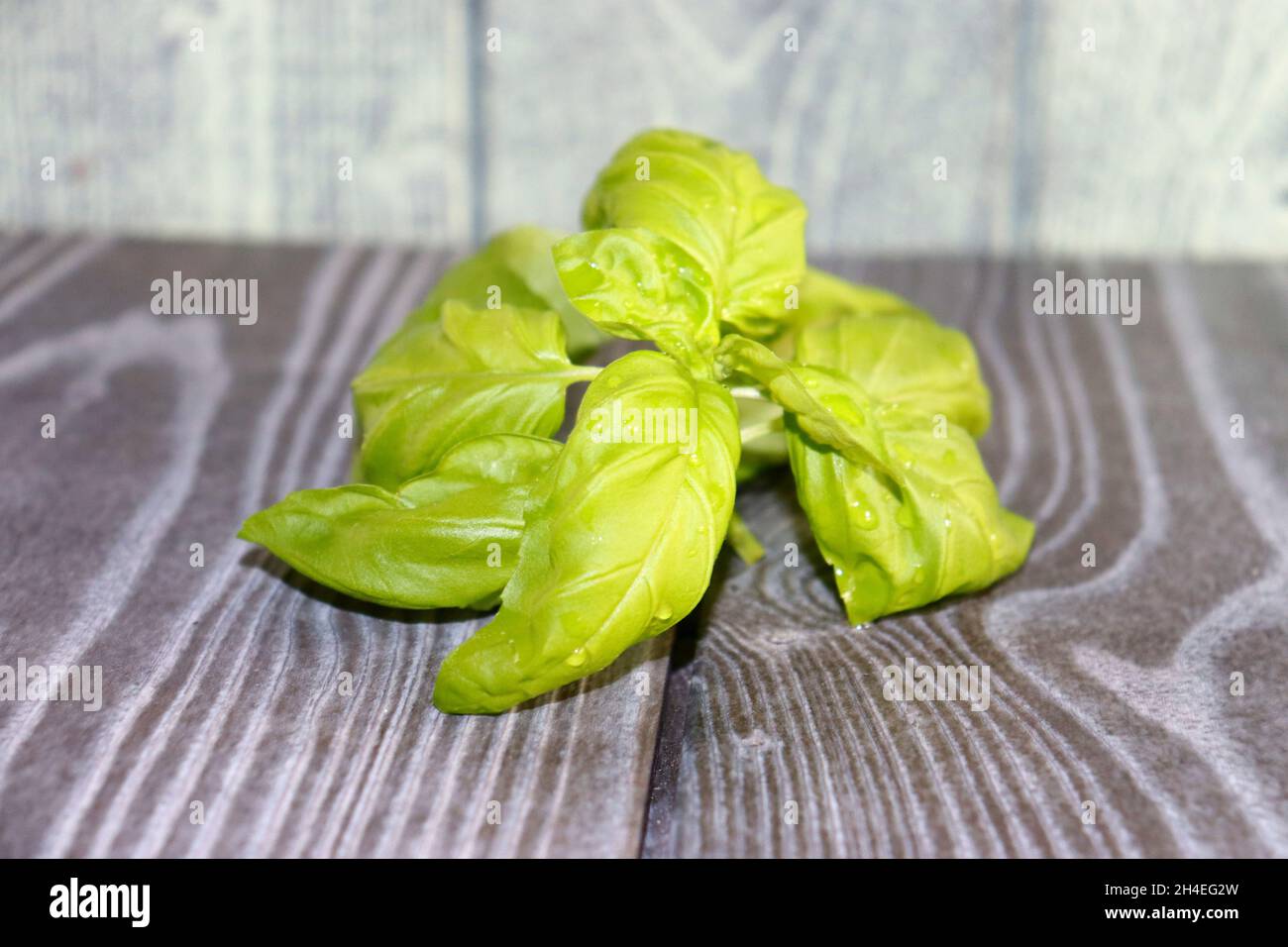 Fresh basil leaf, healthy food Stock Photo - Alamy