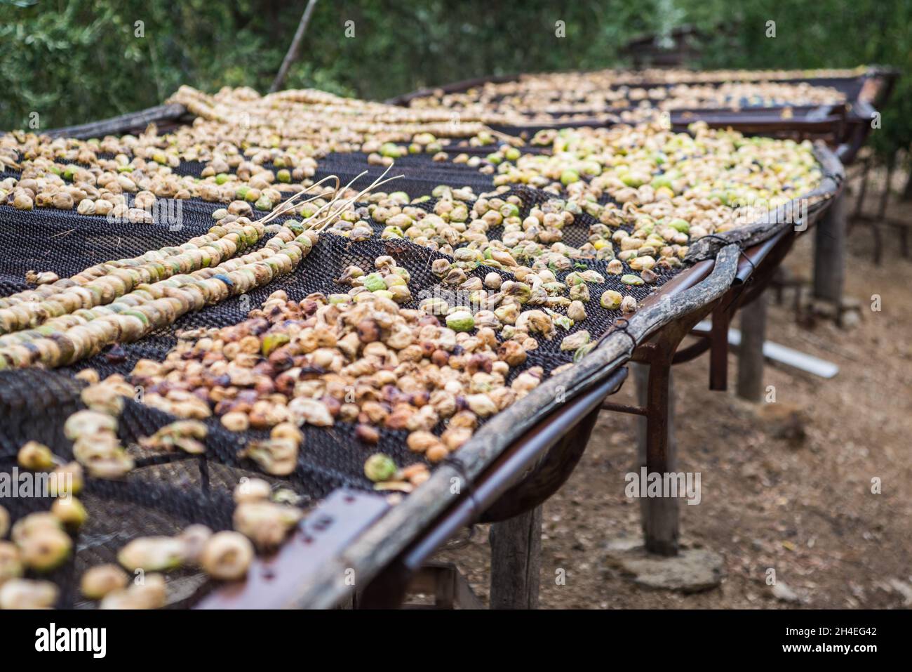 Corigliano Calabro, Southern Italy Stock Photo - Alamy
