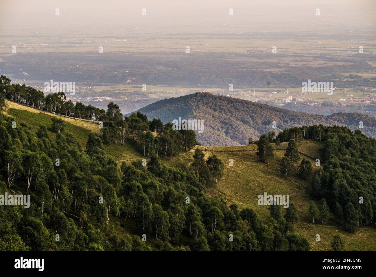 Oasiz hi-res stock photography and images - Alamy