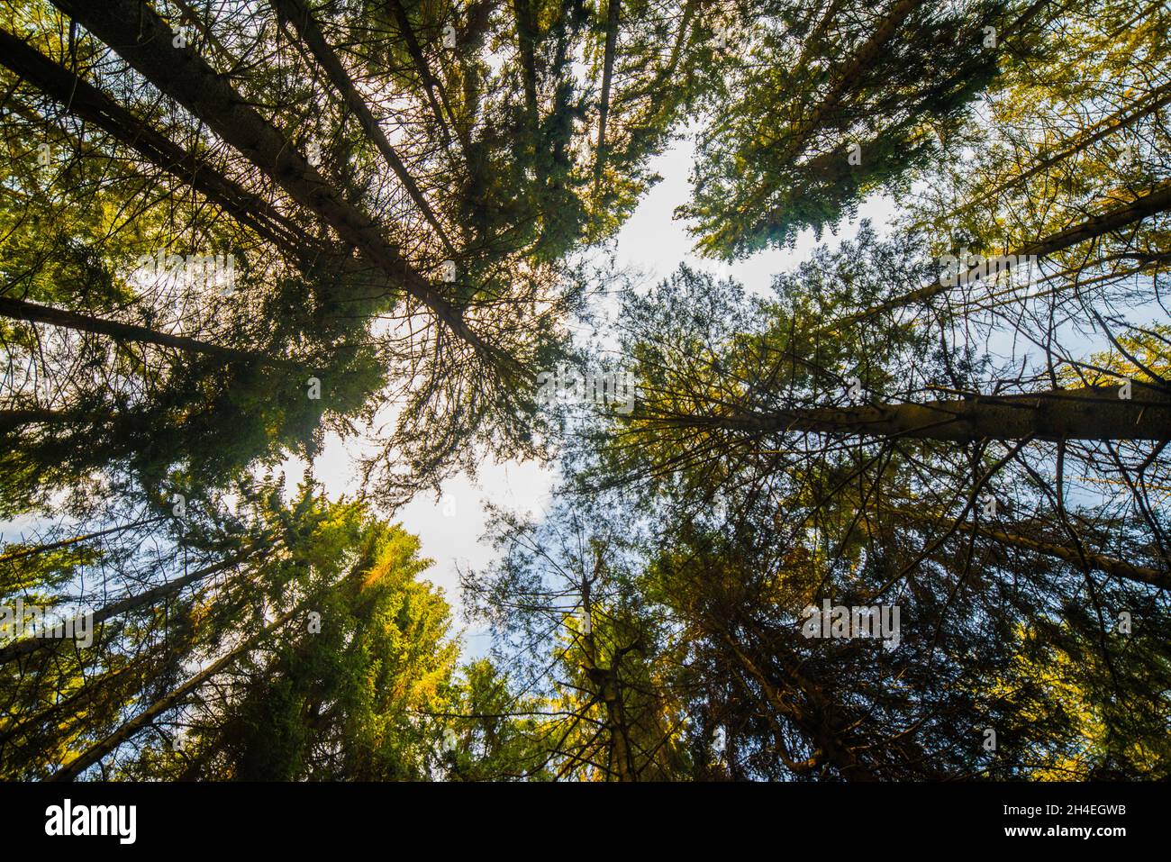 Oasi zegna hi-res stock photography and images - Alamy