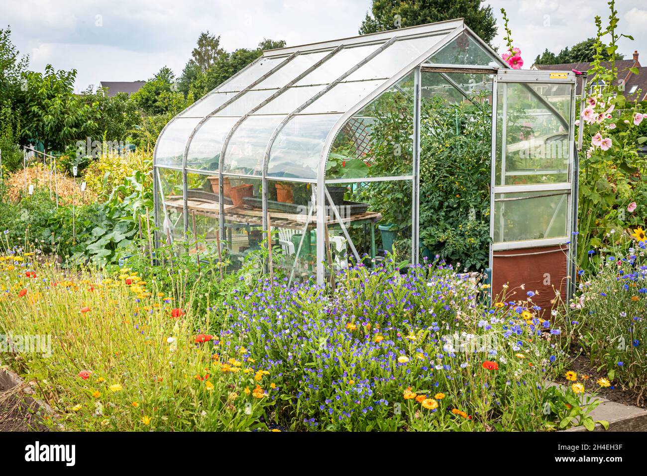 Modern greenhouse hi-res stock photography and images - Alamy