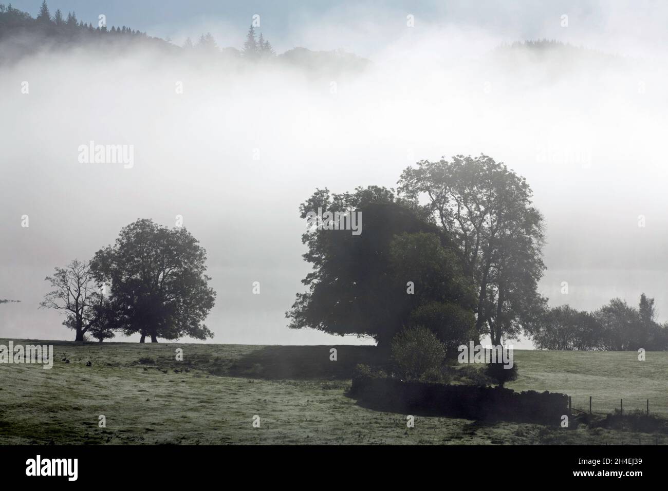 Misty morning Esthwaite Water near Hawkshead the Lake District Cumbria ...