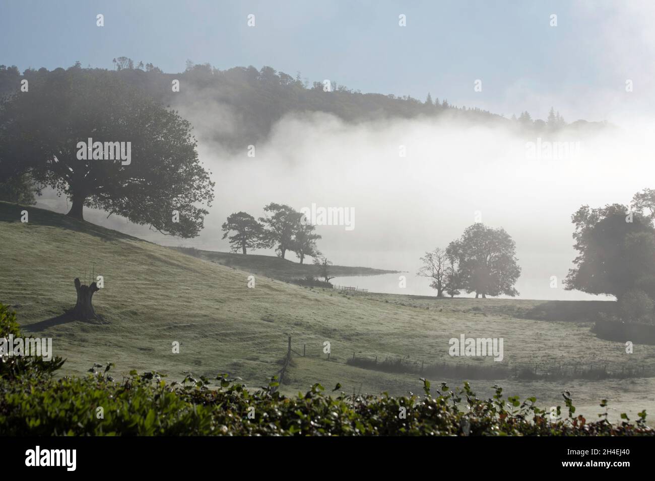 Misty morning Esthwaite Water near Hawkshead the Lake District Cumbria ...
