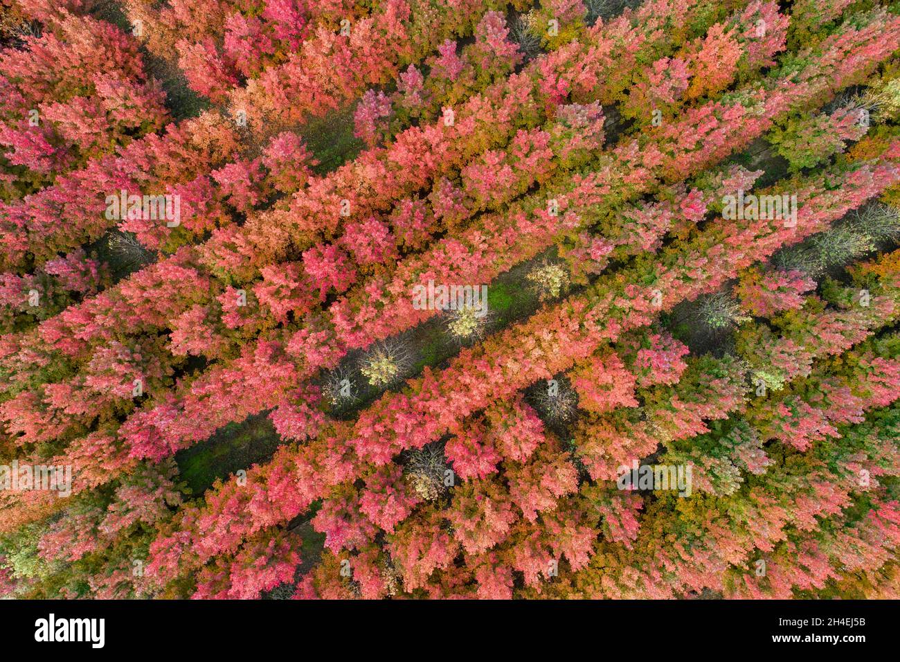 HUAI'AN, CHINA - NOVEMBER 2, 2021 - An aerial photo taken on Nov 2 ...