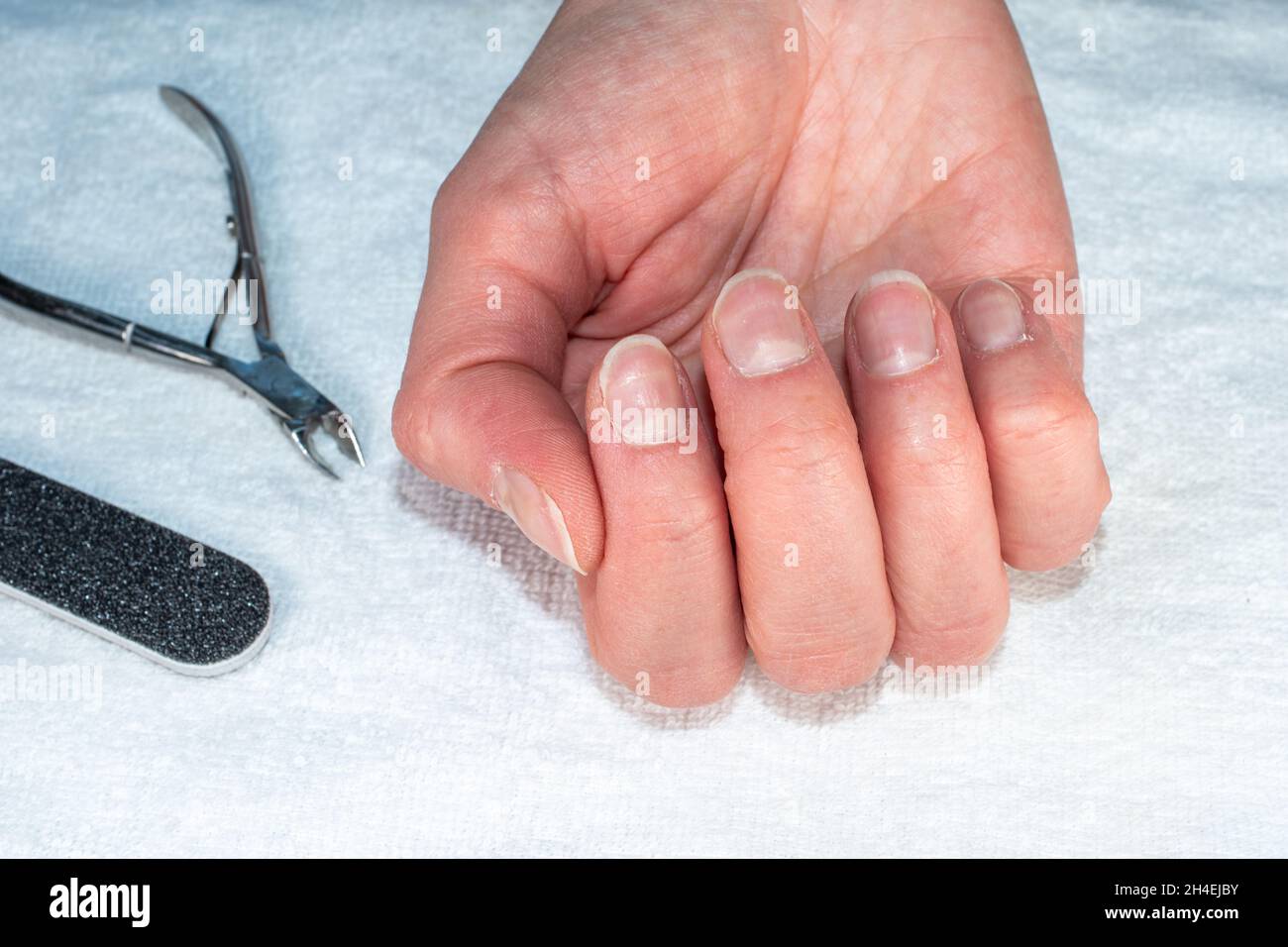 Close-up of a Caucasian female hand with natural unpolished nails ...
