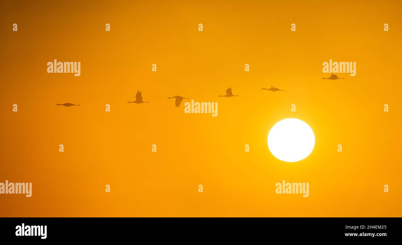 Flying past the sun hi-res stock photography and images - Alamy