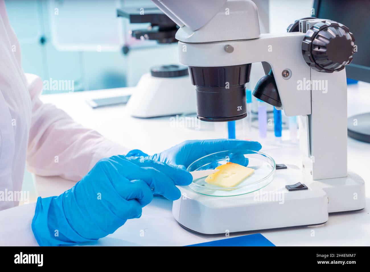 Inspection of meat and fish quality in the food quality laboratory ...