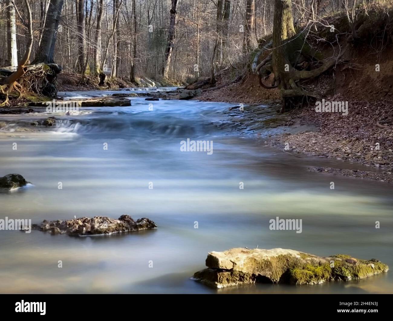 Calm river in a forest during daylight Stock Photo - Alamy
