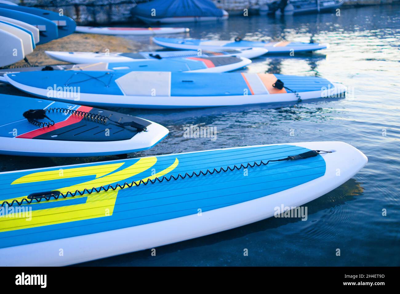 Stand up SUP paddle board on lake or sea with blue water lilies ...
