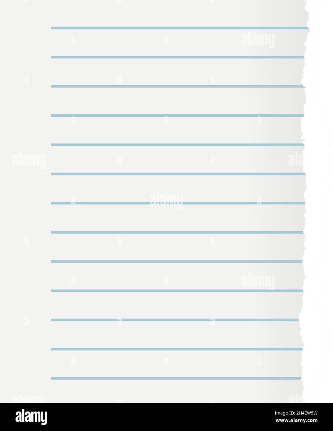 Lined paper sheet. Blank page ripped from notebook Stock Vector Image ...