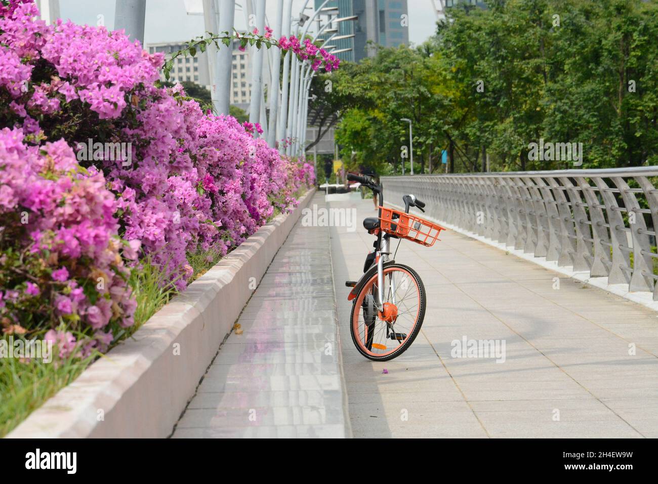 Modern curved garden path hi-res stock photography and images - Alamy