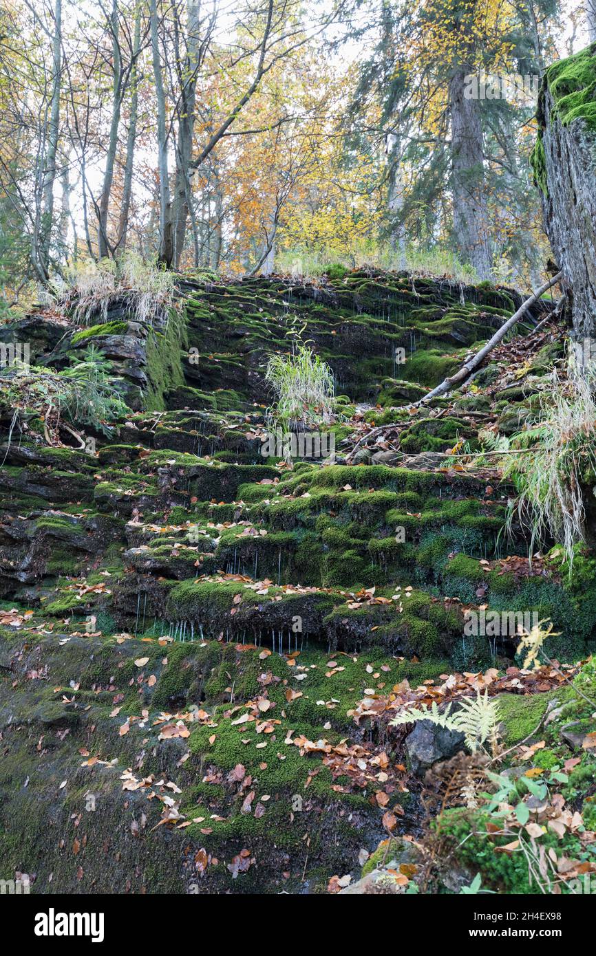 Quelle wasser hi-res stock photography and images - Alamy