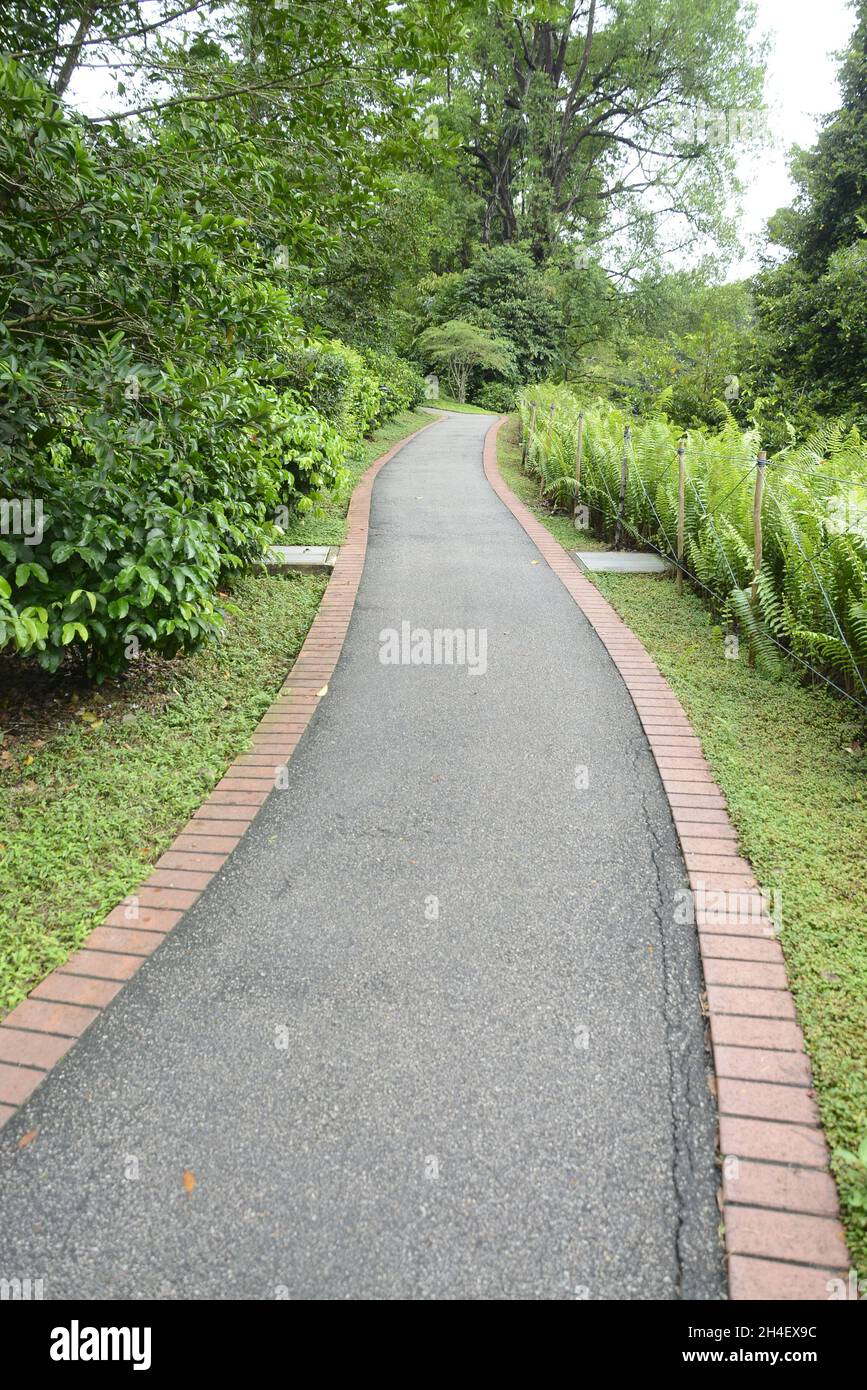 leading down to new paths and new destinations Stock Photo - Alamy