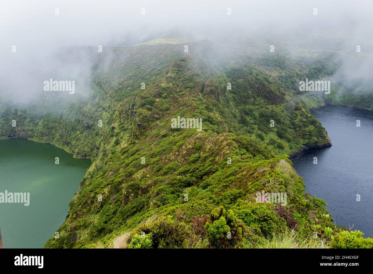Poco da ribeira do ferreiro, Flores, Azores, Portugal Stock Photo - Alamy