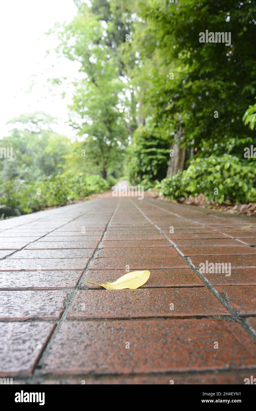 easy paths have crowded destinations at the end Stock Photo - Alamy