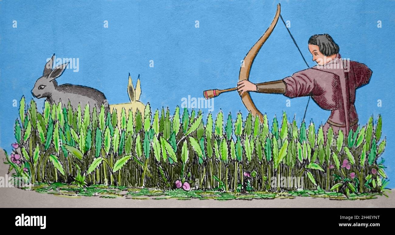 Used to hunt hares hi-res stock photography and images - Alamy