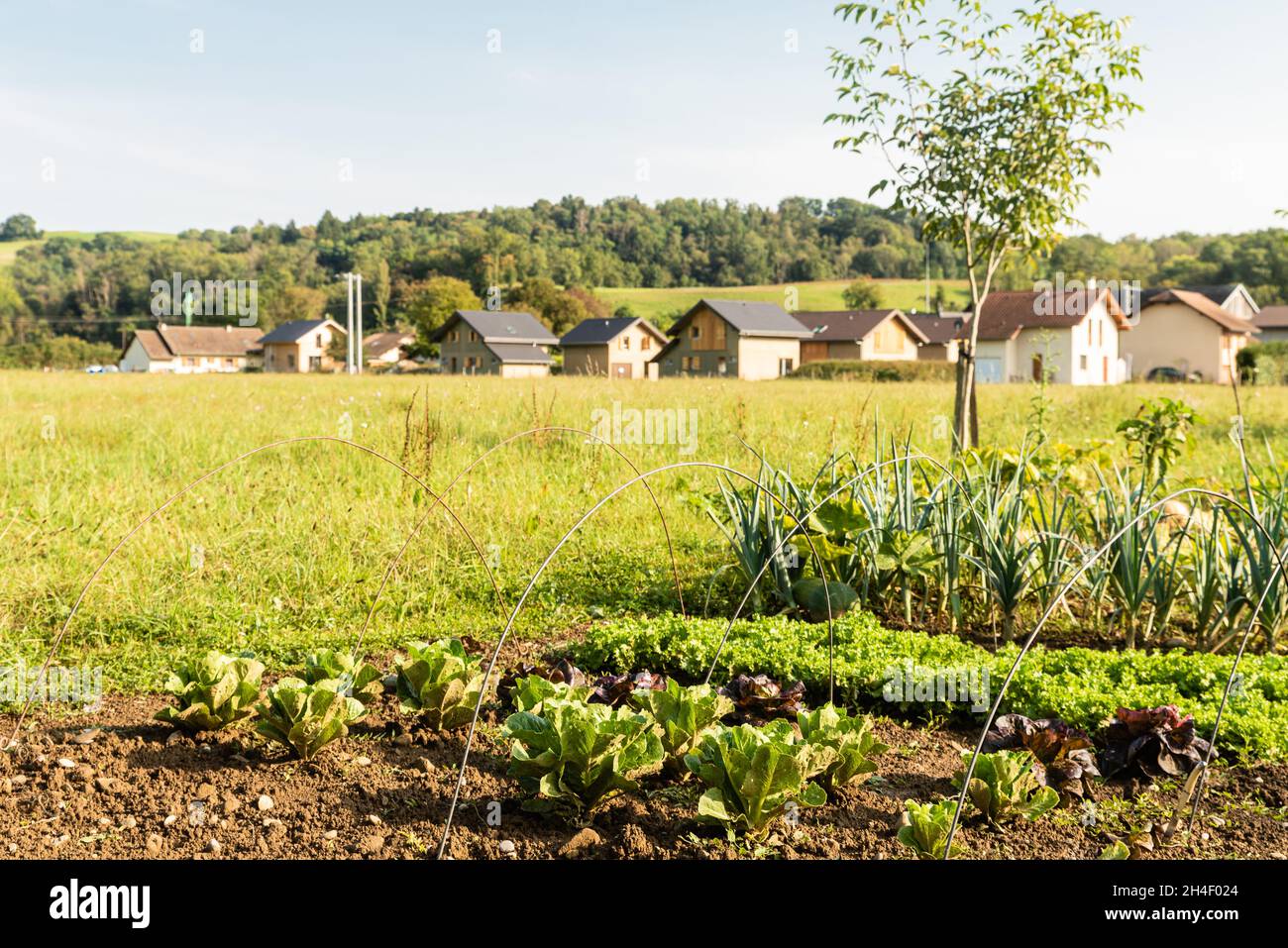 Domestic rural garden hi-res stock photography and images - Alamy