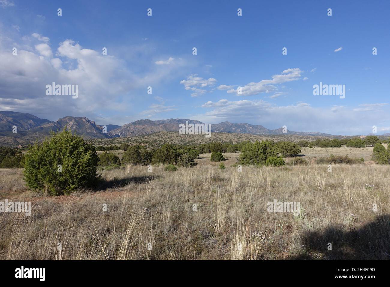 South western New Mexico Stock Photo - Alamy