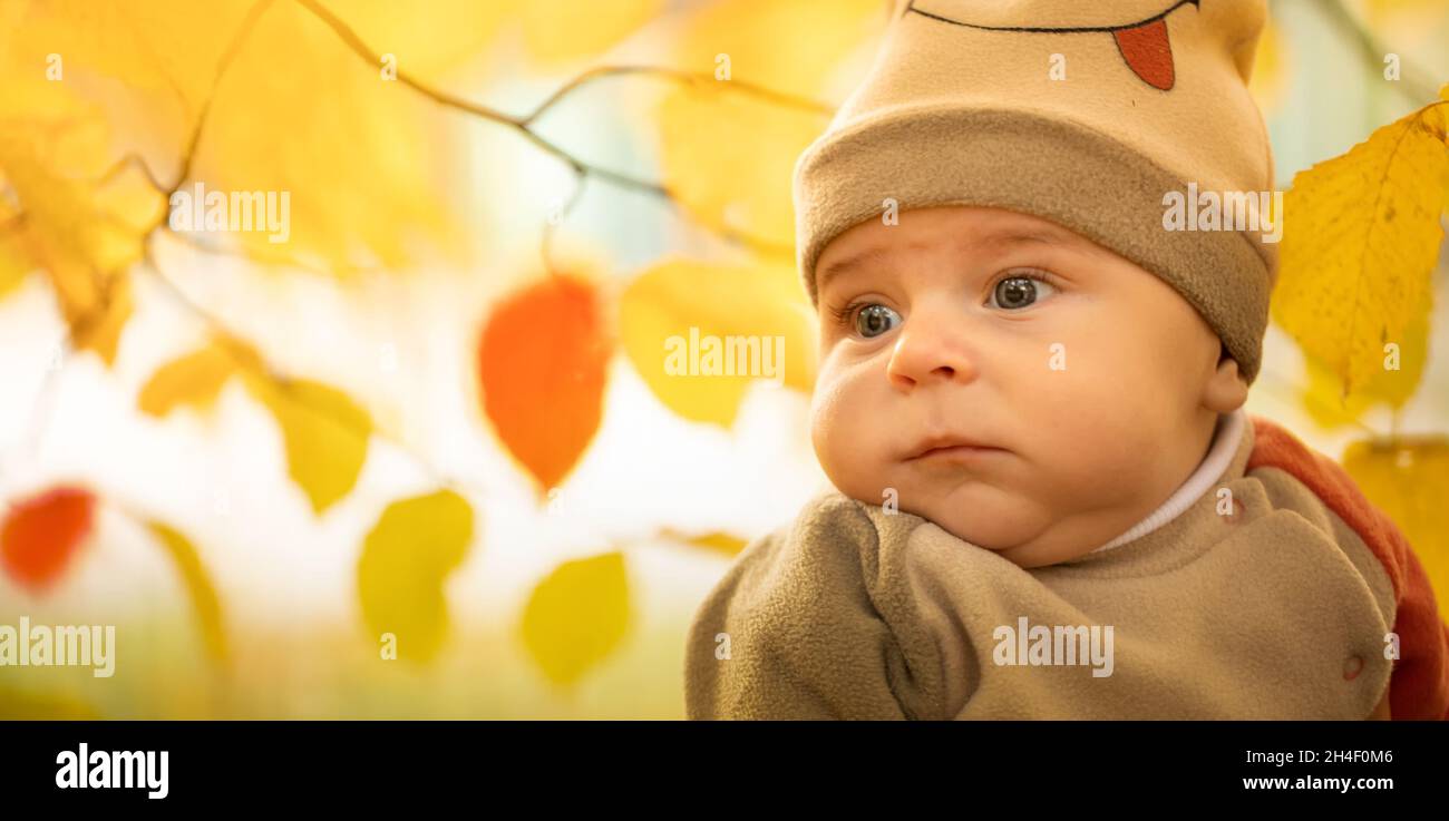 Newborn baby on a background of autumn leaves Stock Photo - Alamy