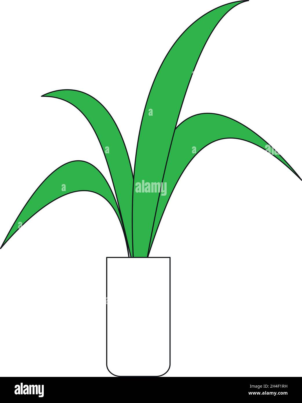 Dracaena dracaena Stock Vector Images - Alamy