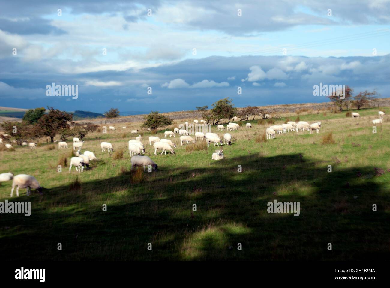 Langley on tyme hi-res stock photography and images - Alamy