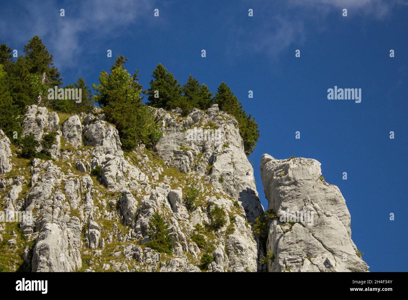 Trees at a Cliff Stock Photo - Alamy
