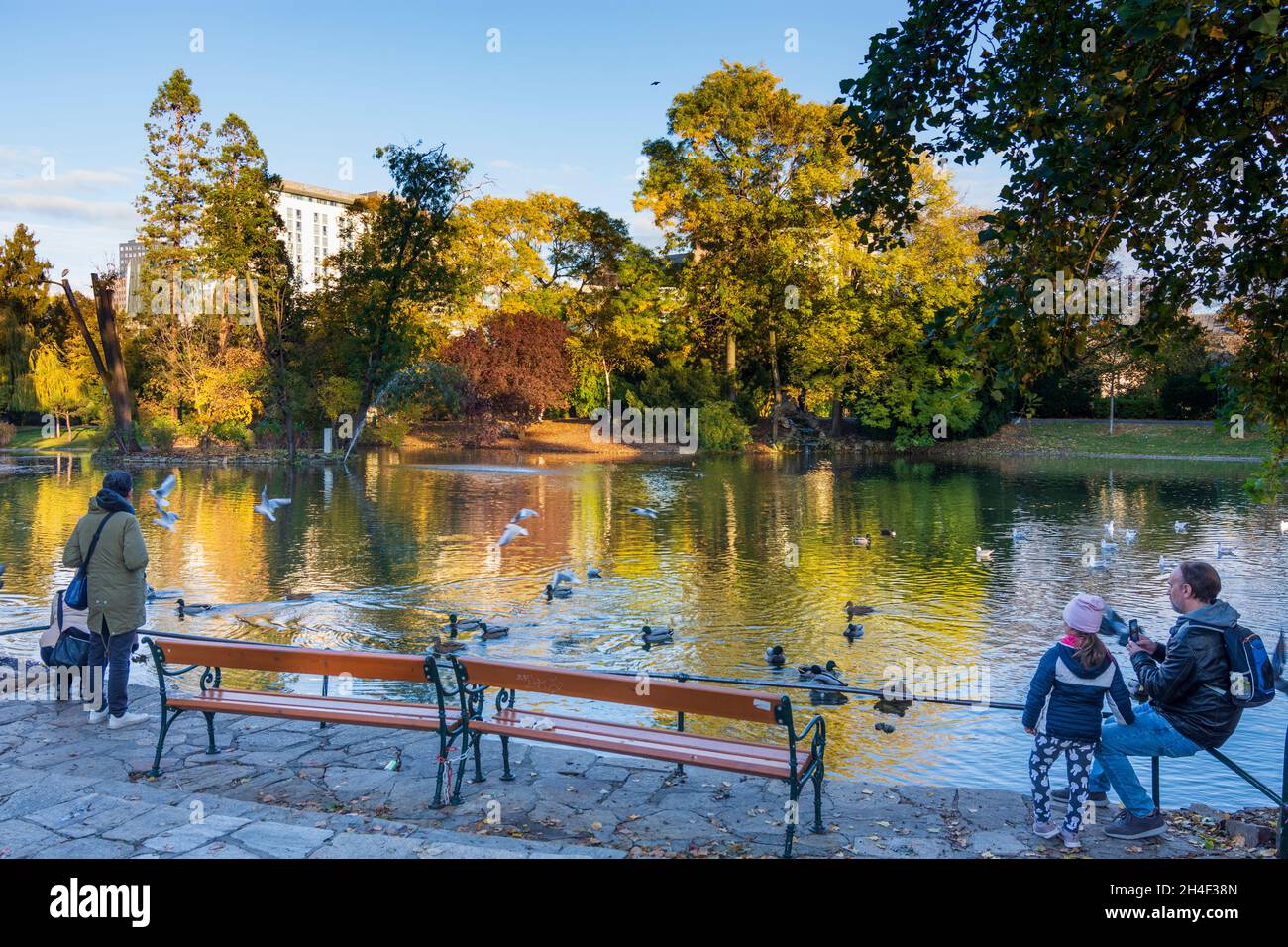 Wien, Vienna: park Stadtpark, pond Stadtparkteich in 01. Old Town, Wien ...