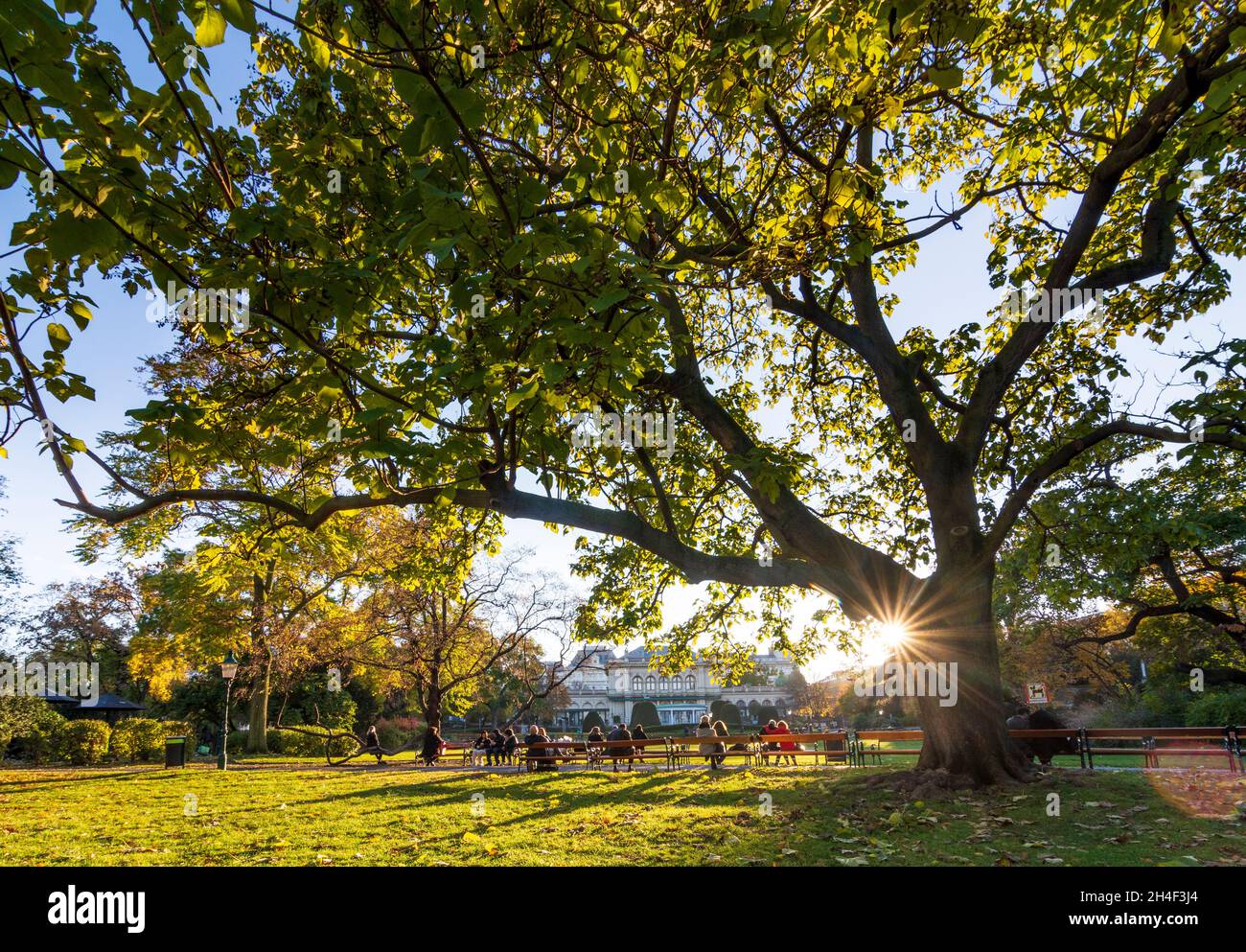 Wien, Vienna: park Stadtpark, people at benches enjoy last sunshine of the day, autumn colors ...