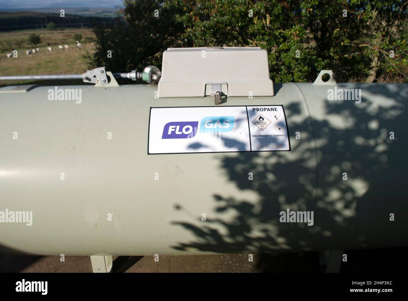 Flo gas cylinder hi-res stock photography and images - Alamy