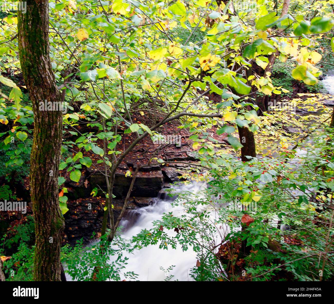 Indian Run Falls Park in Autumn, Dublin, Ohio Stock Photo - Alamy