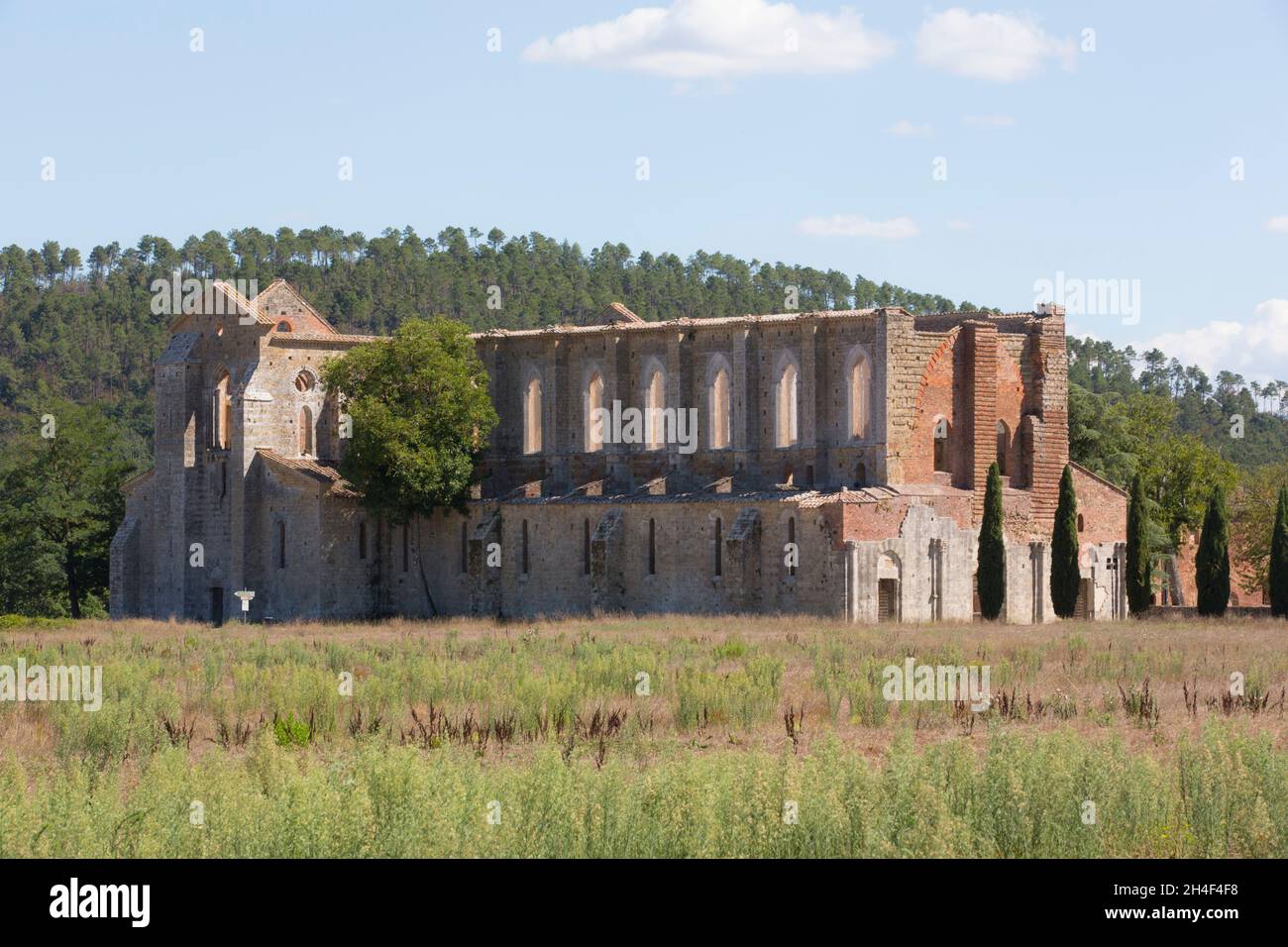 Roman ruins in tuscany hi-res stock photography and images - Alamy
