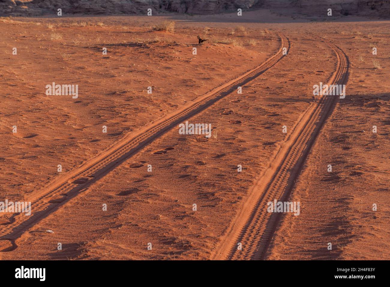 Jeep tire tracks hi-res stock photography and images - Alamy