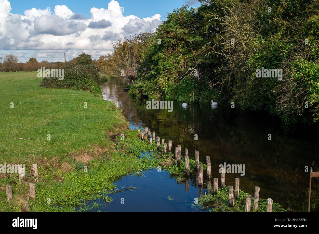 Dorney, UK. 2nd November, 2021. Roundmoor Ditch next to Dorney Common ...