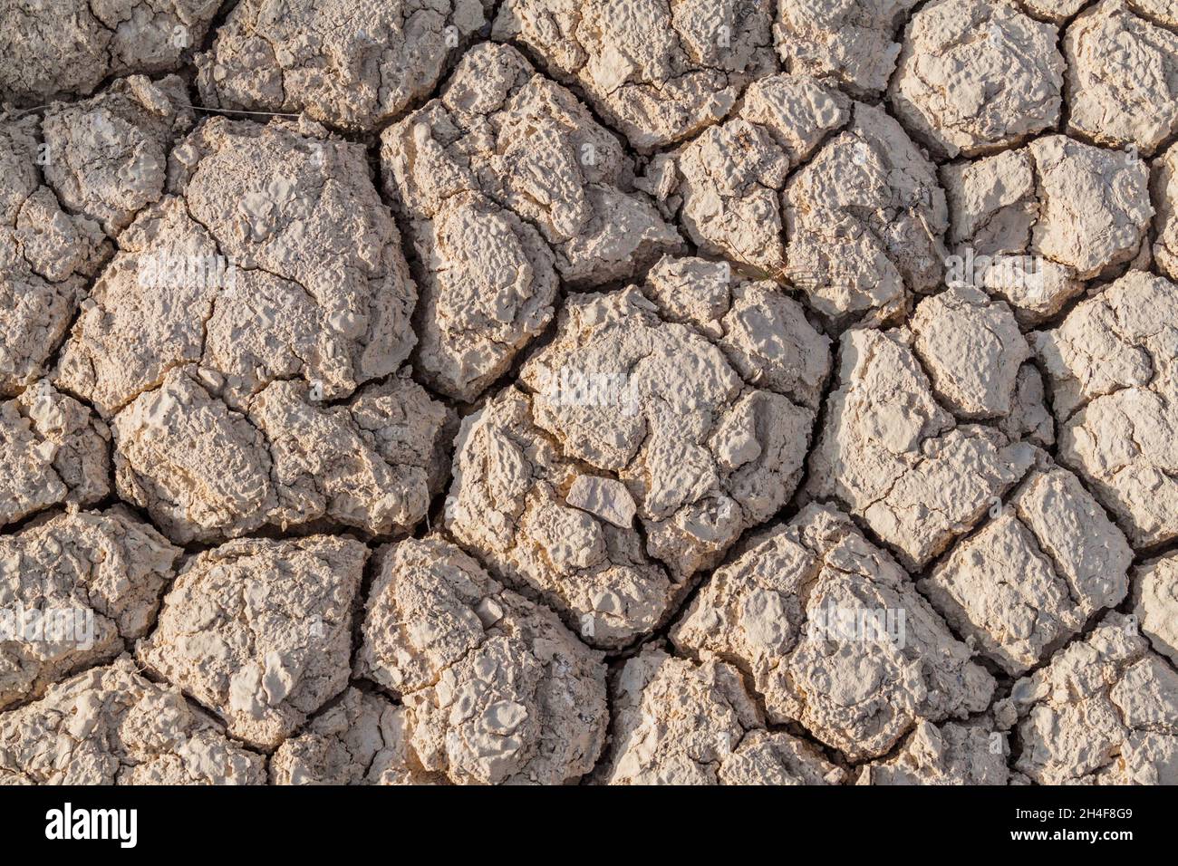 Dried mud cracks hi-res stock photography and images - Alamy