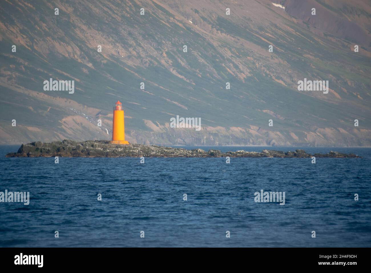 Landscape of lighthouse from ferry in fjord in Iceland Stock Photo - Alamy