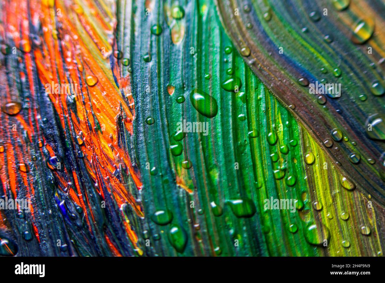Colorful multicolored paints are covered with water drops. Multicolor ...