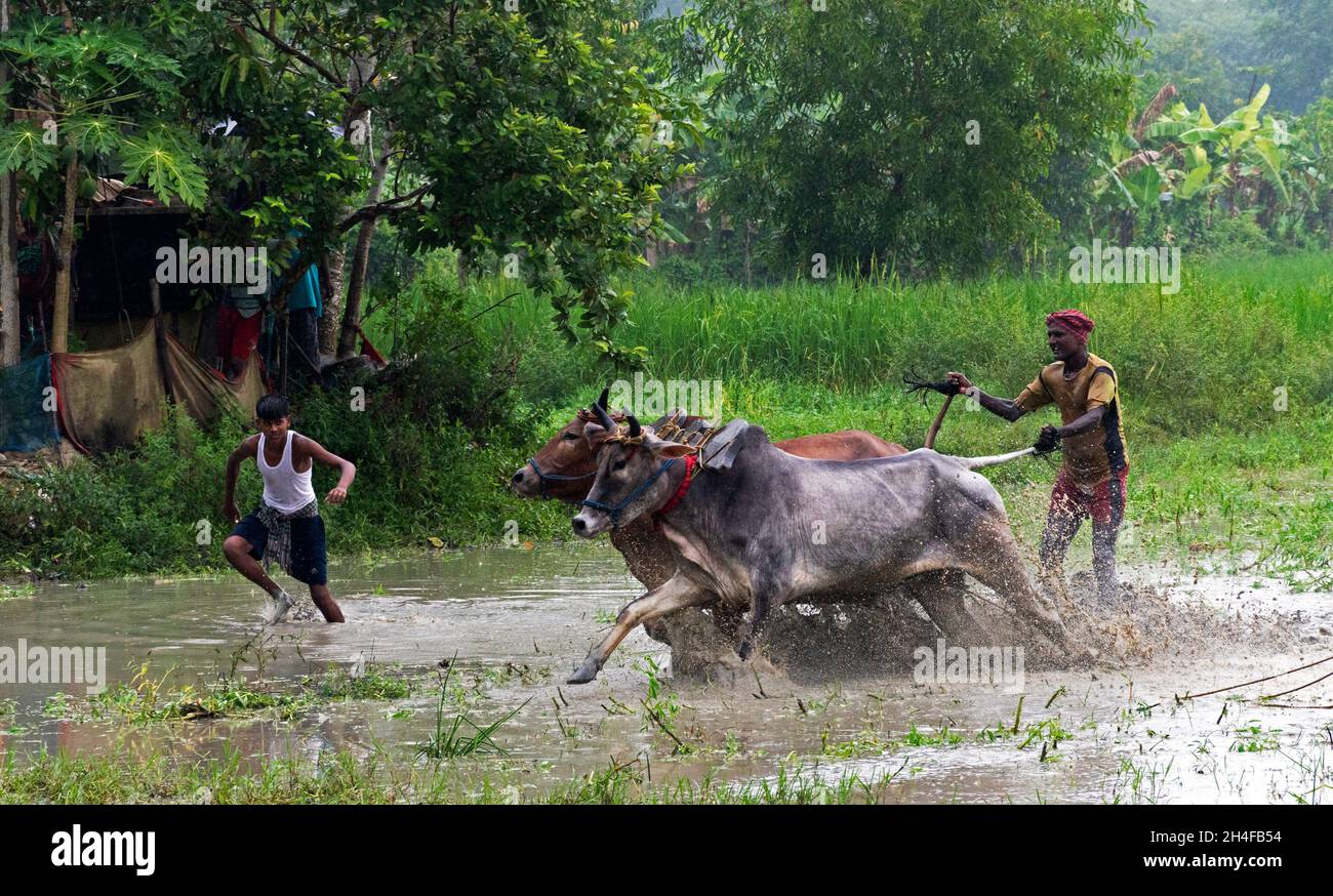 Moi chara hi-res stock photography and images - Alamy
