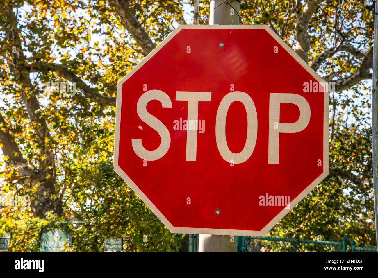 Street signs in the city Stock Photo - Alamy