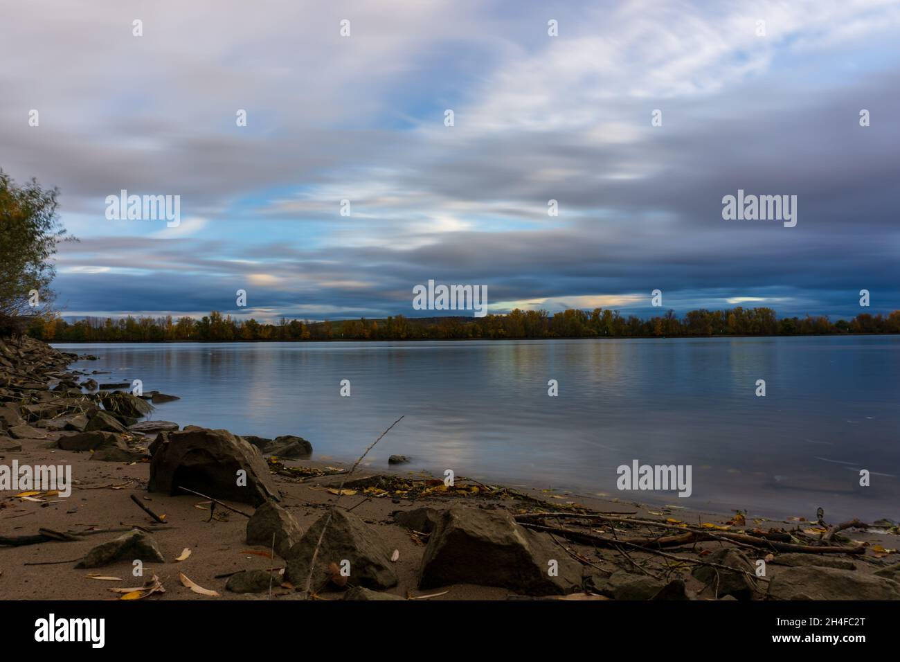 calm water reflection on the river Rhine in the evening Stock Photo - Alamy
