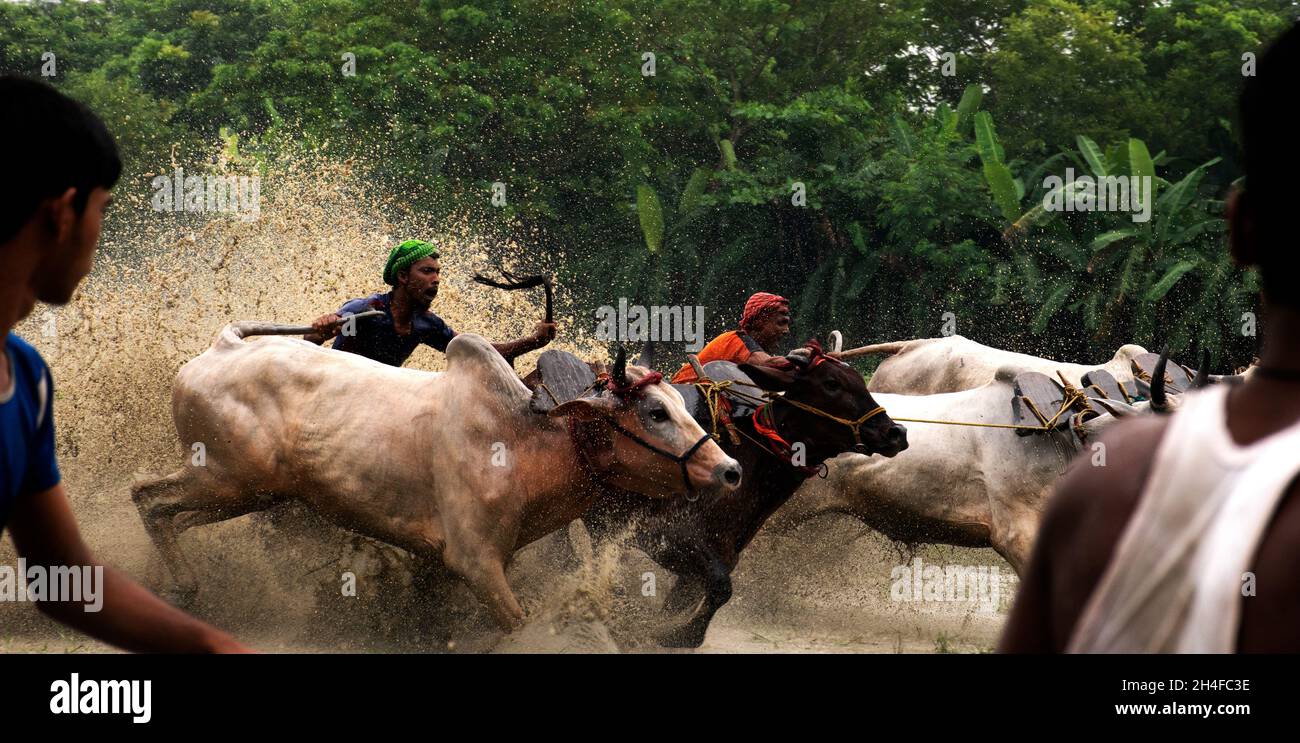 Moi cha hi-res stock photography and images - Alamy