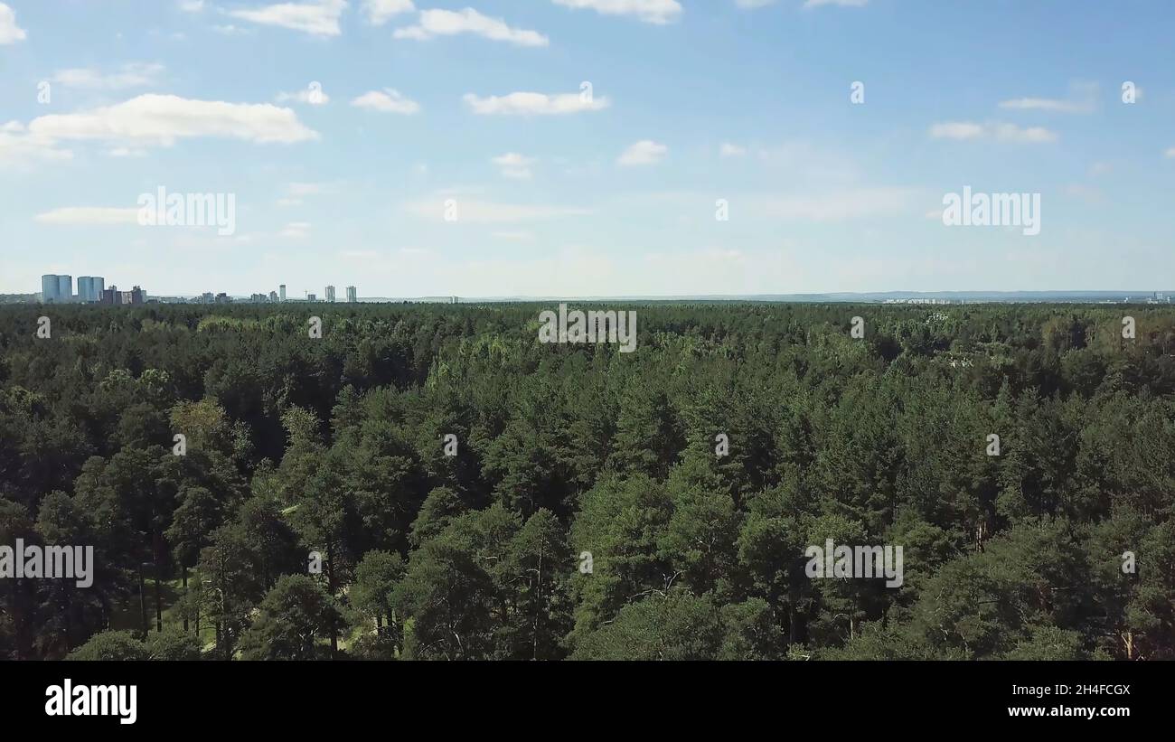Top view of the path through the trees. Clip. Top view of the beautiful ...