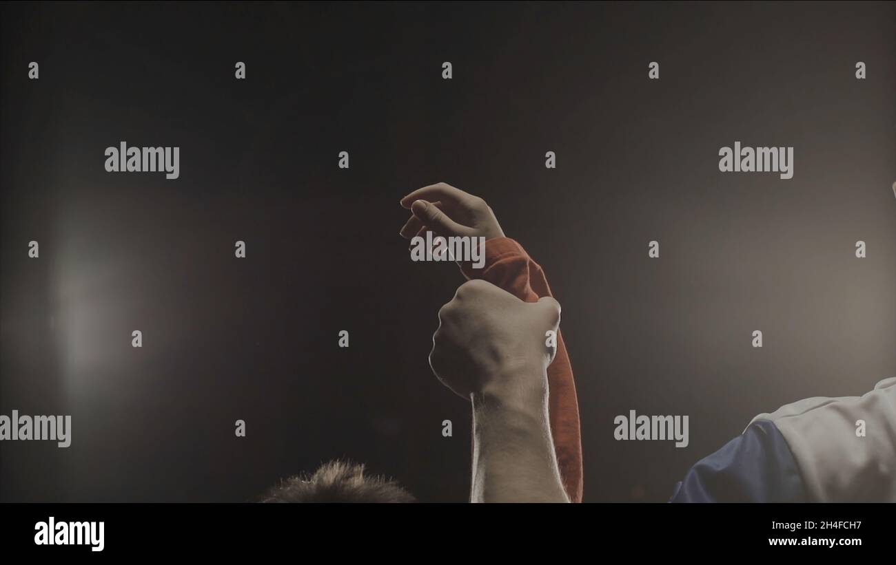 Rear view of the referee who raises the winner's hand. The referee ...