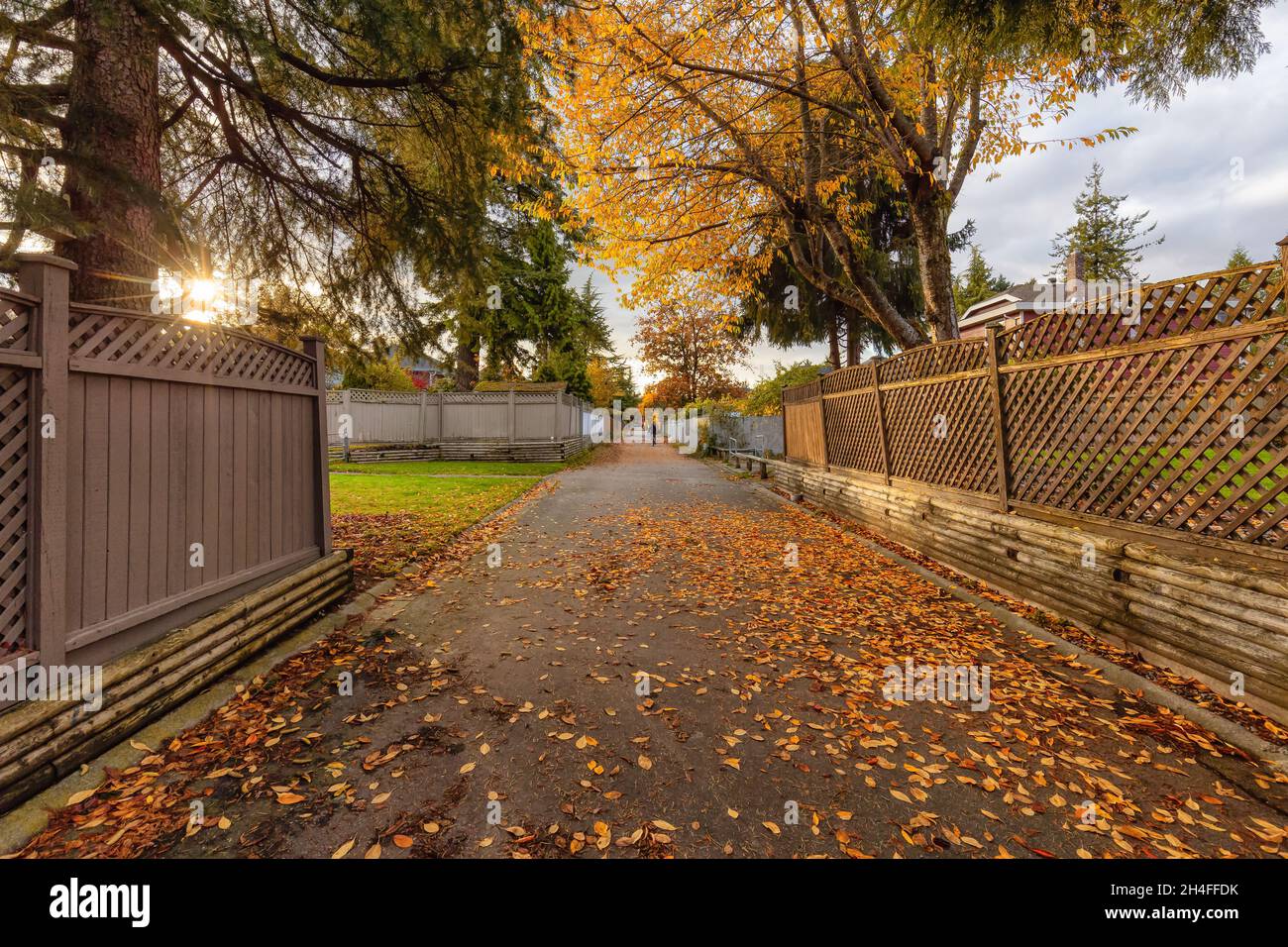 Alley in a residential neighborhood in the city suburbs Stock Photo - Alamy