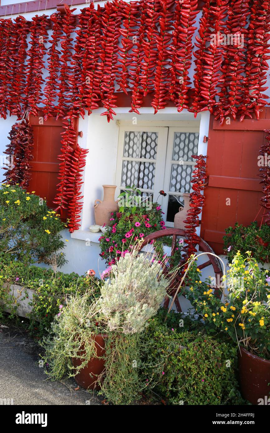 Piment chilli house hi-res stock photography and images - Alamy