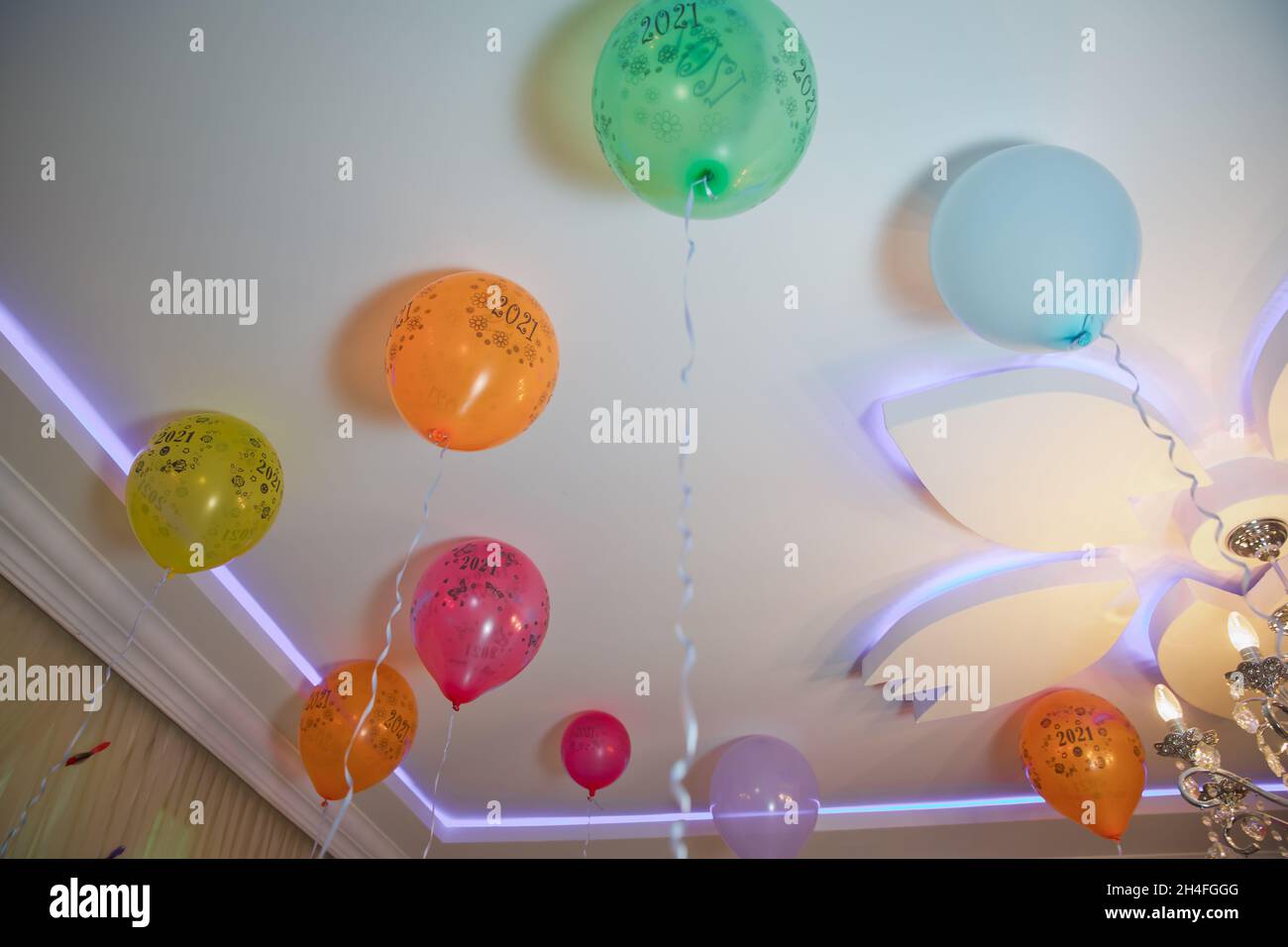 Colorfull balloons float on the white ceiling in the room for the party ...