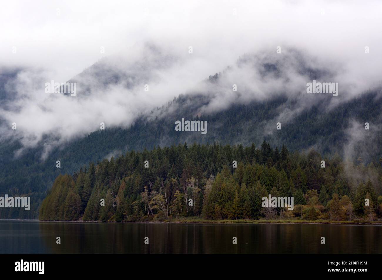 Fog and mist over the temperate old growth rainforest of Inland Lake ...