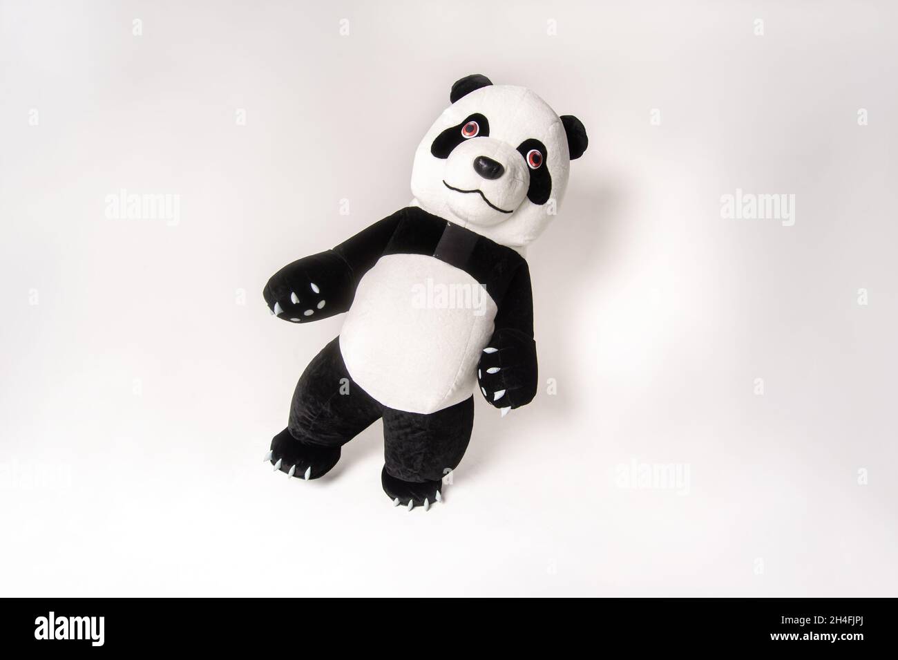 Toy big panda with a man inside on a white background Stock Photo - Alamy